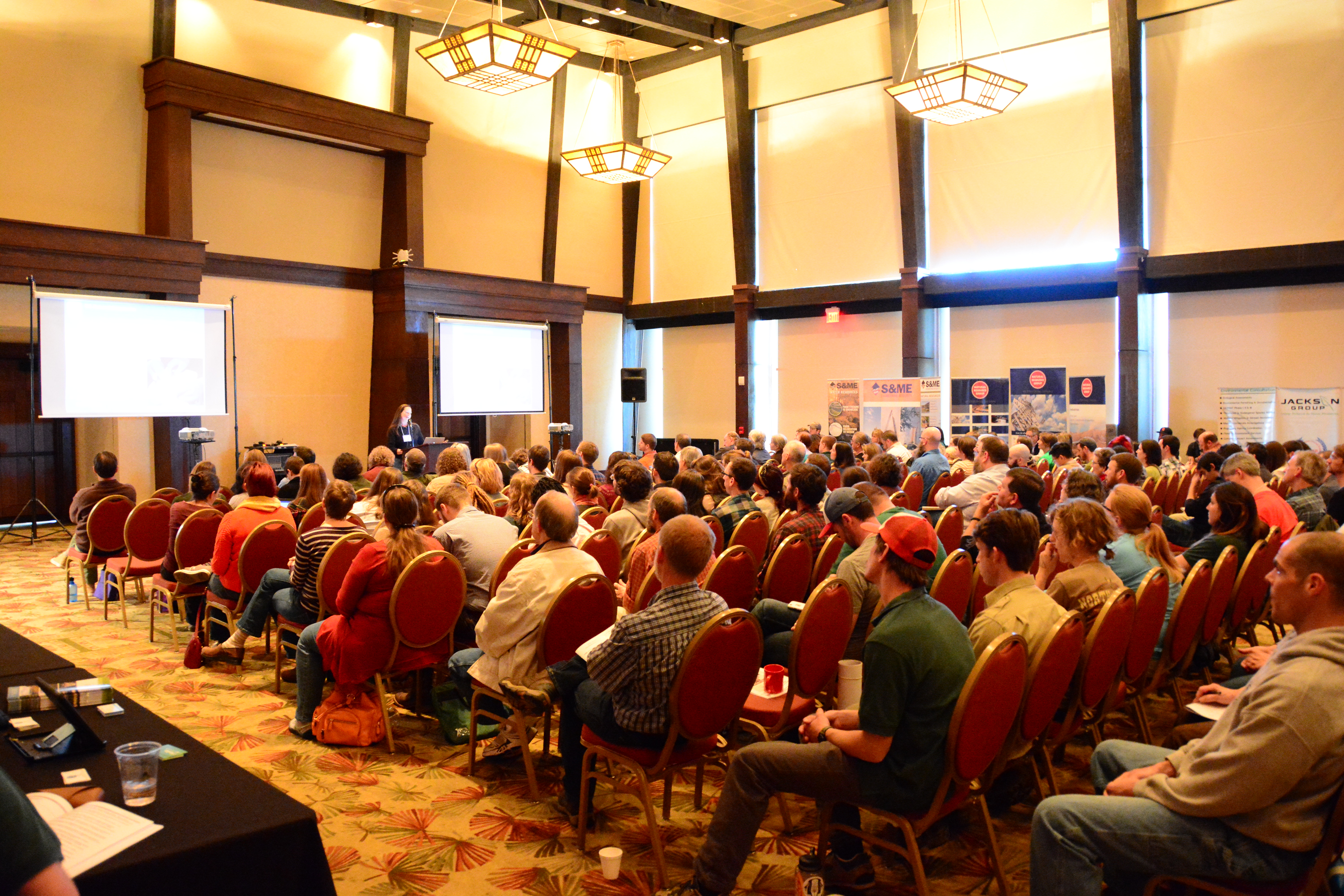 Southeastern Bat Diversity Network | Conserving Bats & Their Habitats