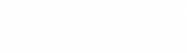 About Southeastern Bat Diversity Network | SBDN