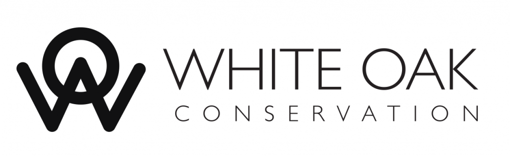 25th Annual Meeting | Southeastern Bat Diversity Network