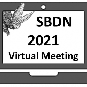 Southeastern Bat Diversity Network | education, research & management.