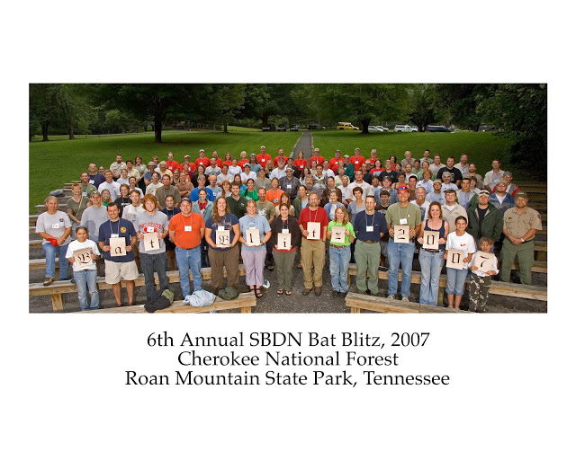 Southeastern Bat Diversity Network | Conserving Bats & Their Habitats